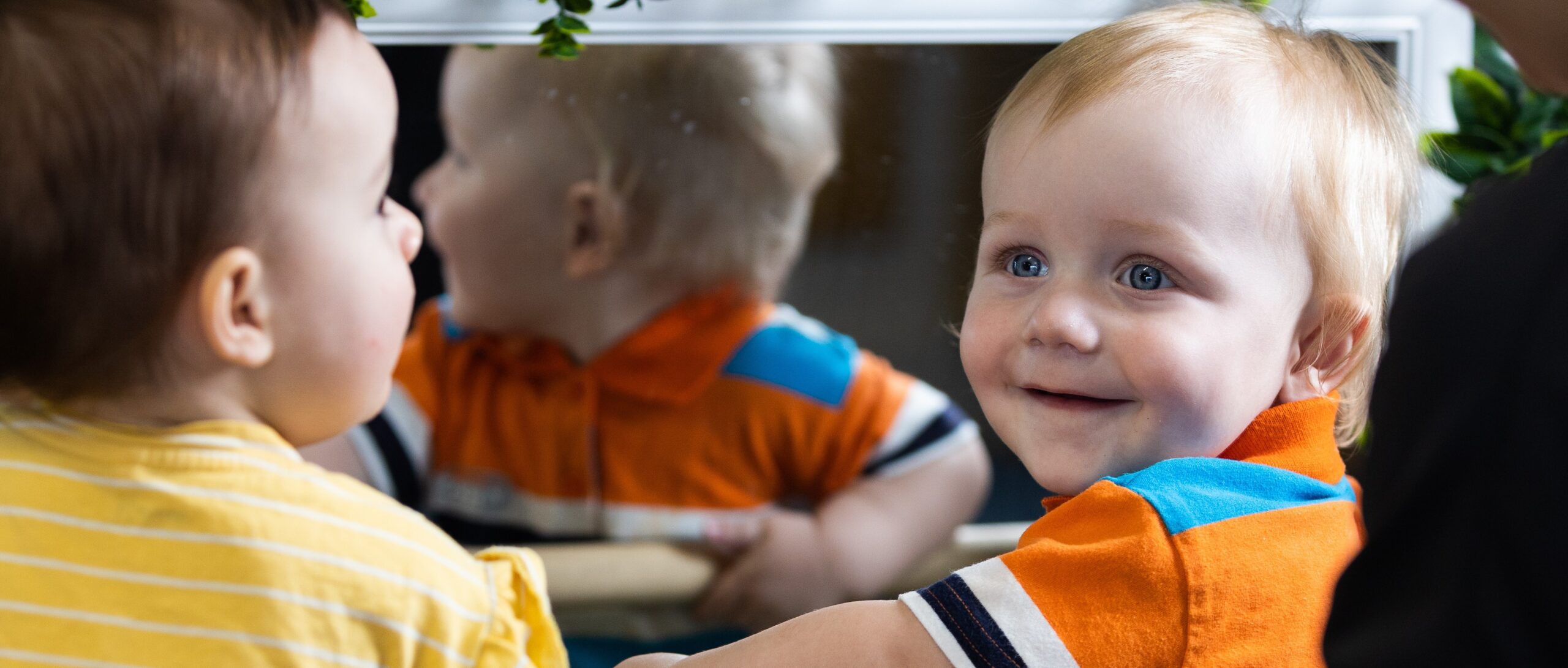 What are the National Quality Standards (NQS)? - Milestones